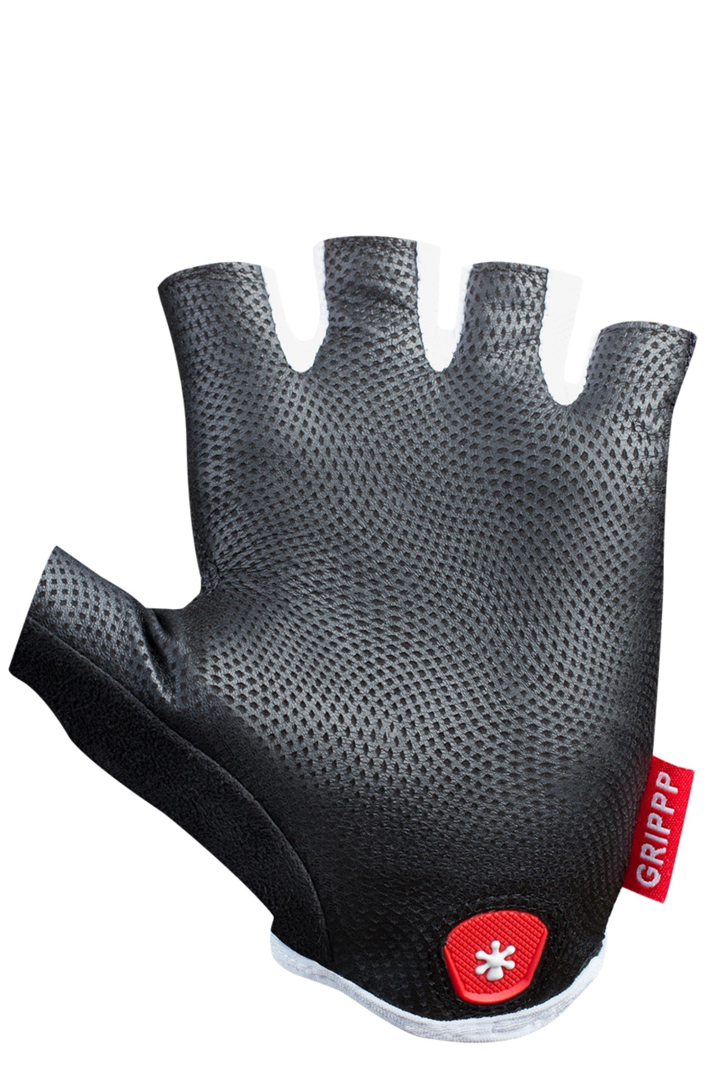 GRIPPP LIGHT SF – Lofti.com